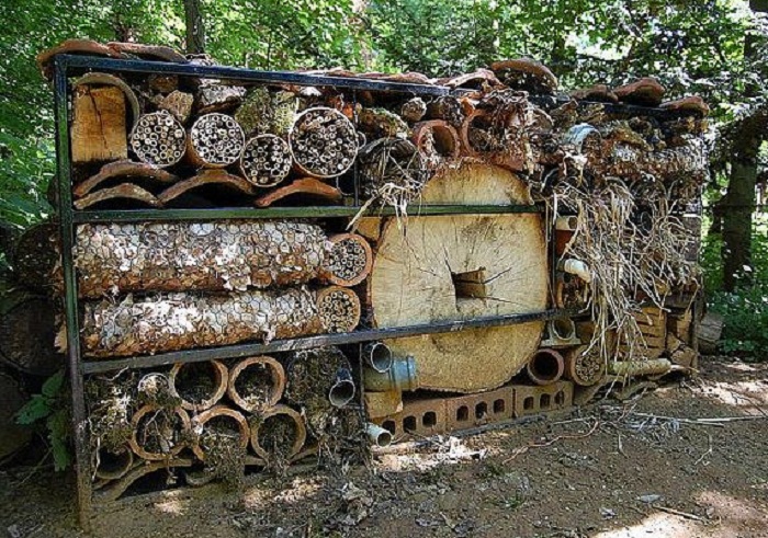 Insect Hotel • Insteading
